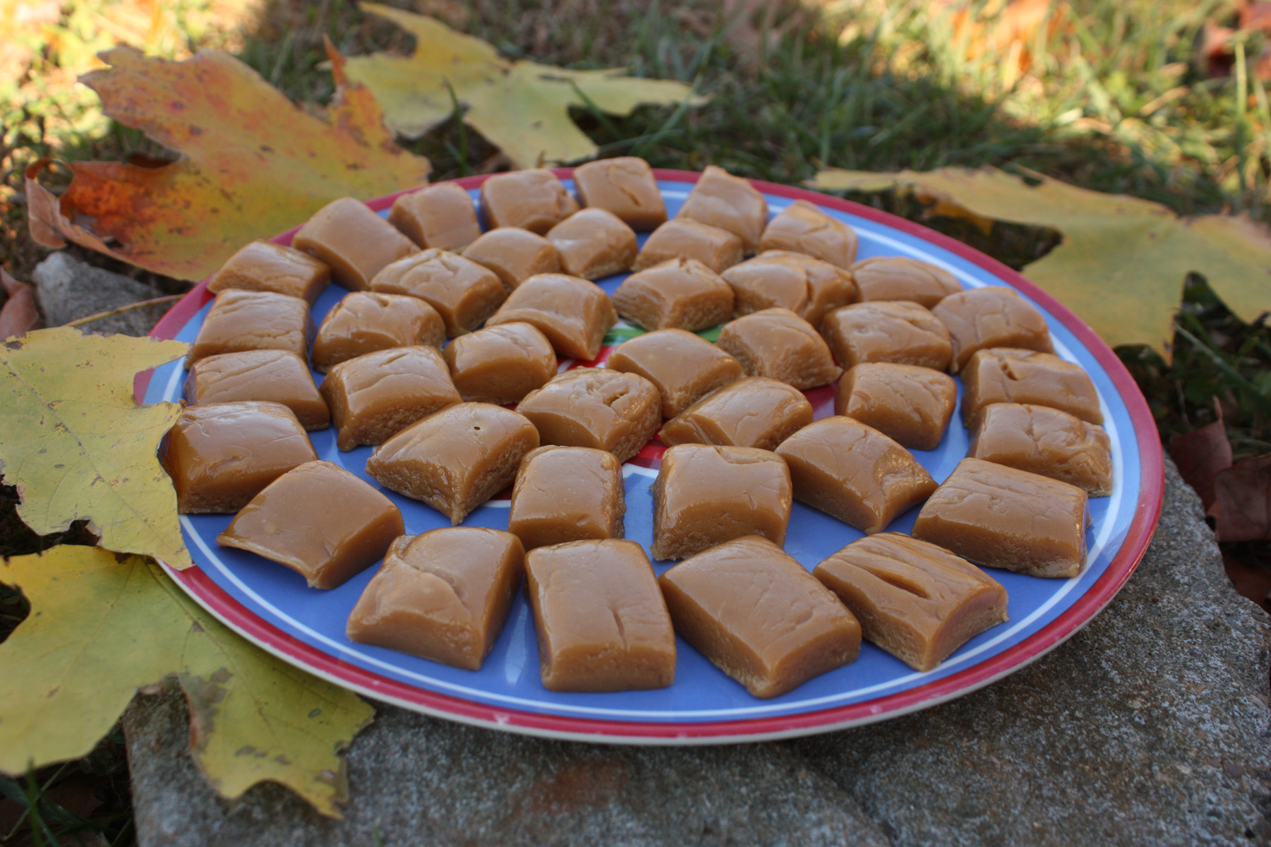 Nutty Caramels (SCD recipe)