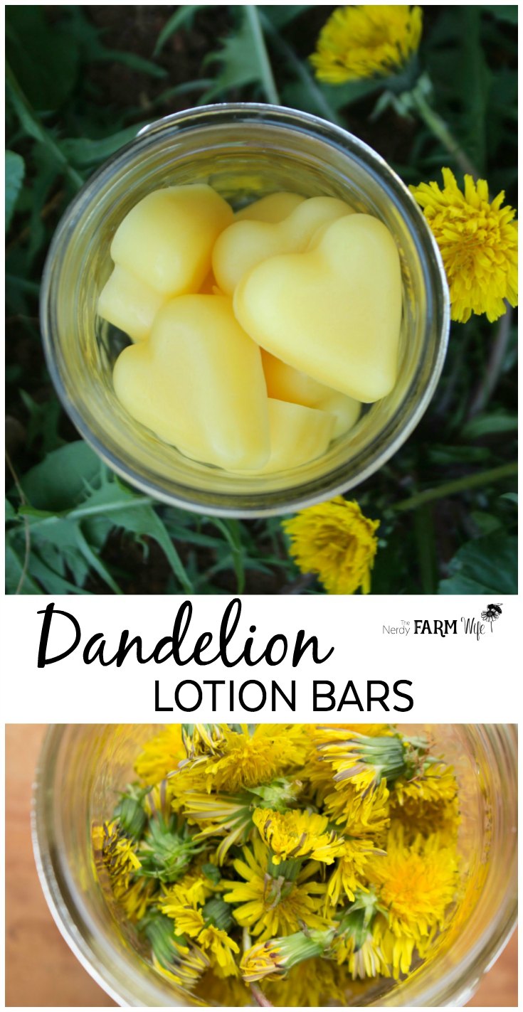 How to Make Dandelion Lotion Bars
