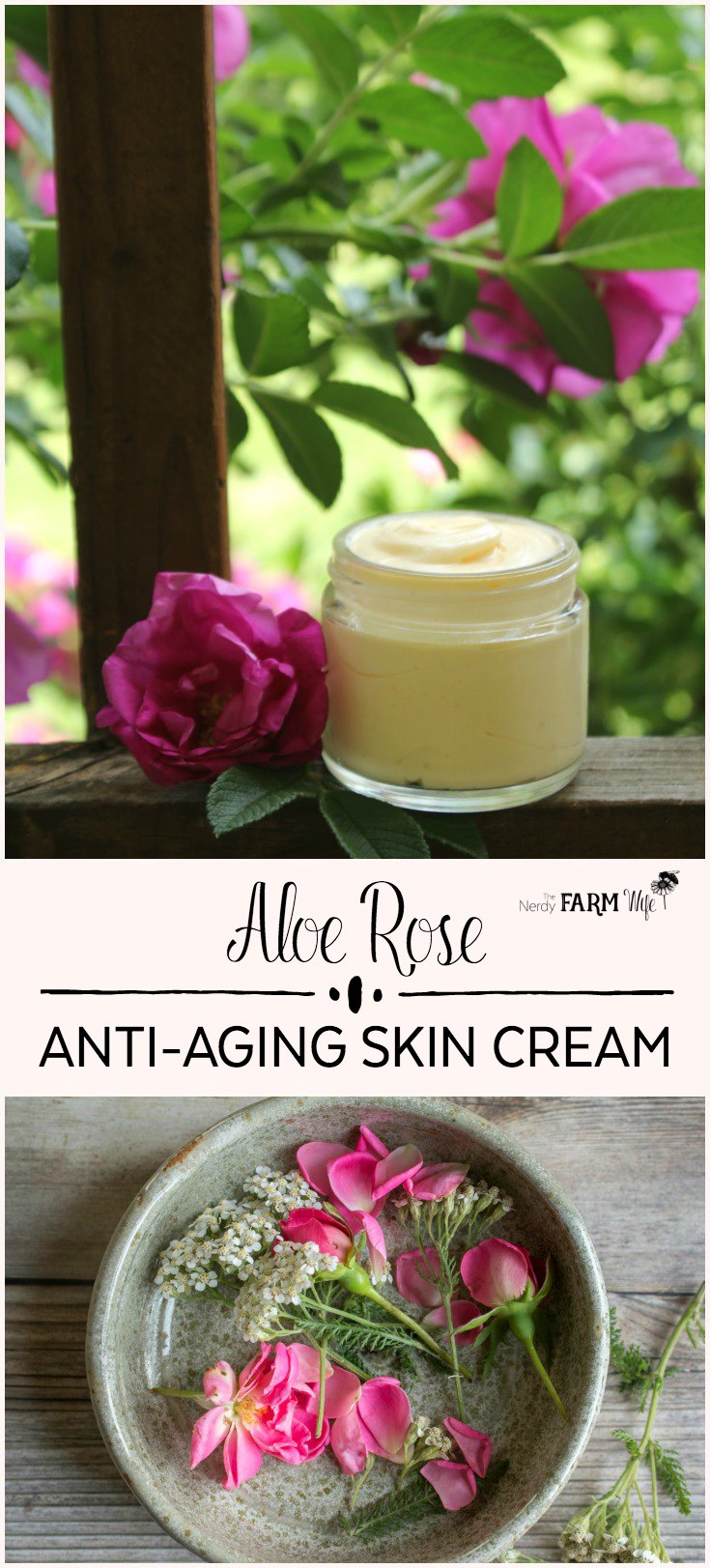 Aloe Rose Anti-Aging Skin Cream