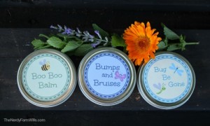Boo Boo Balm (first aid salve for all ages)