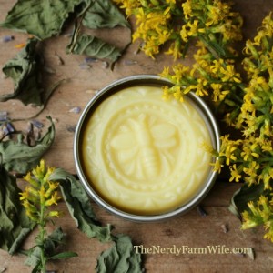 6 Things to Make with Goldenrod