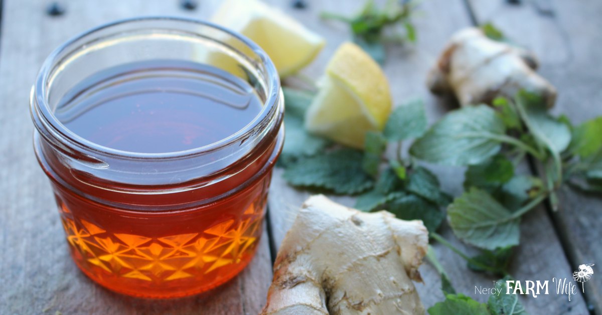 Ginger & Lemon Balm Honey Syrup for Colds & Flu