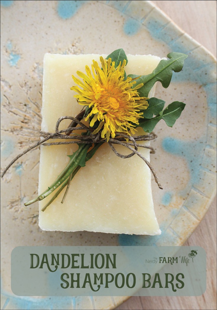 Dandelion Shampoo Bars Recipe