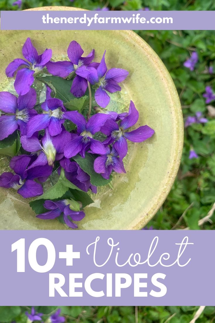 10+ Things to Make With Violets
