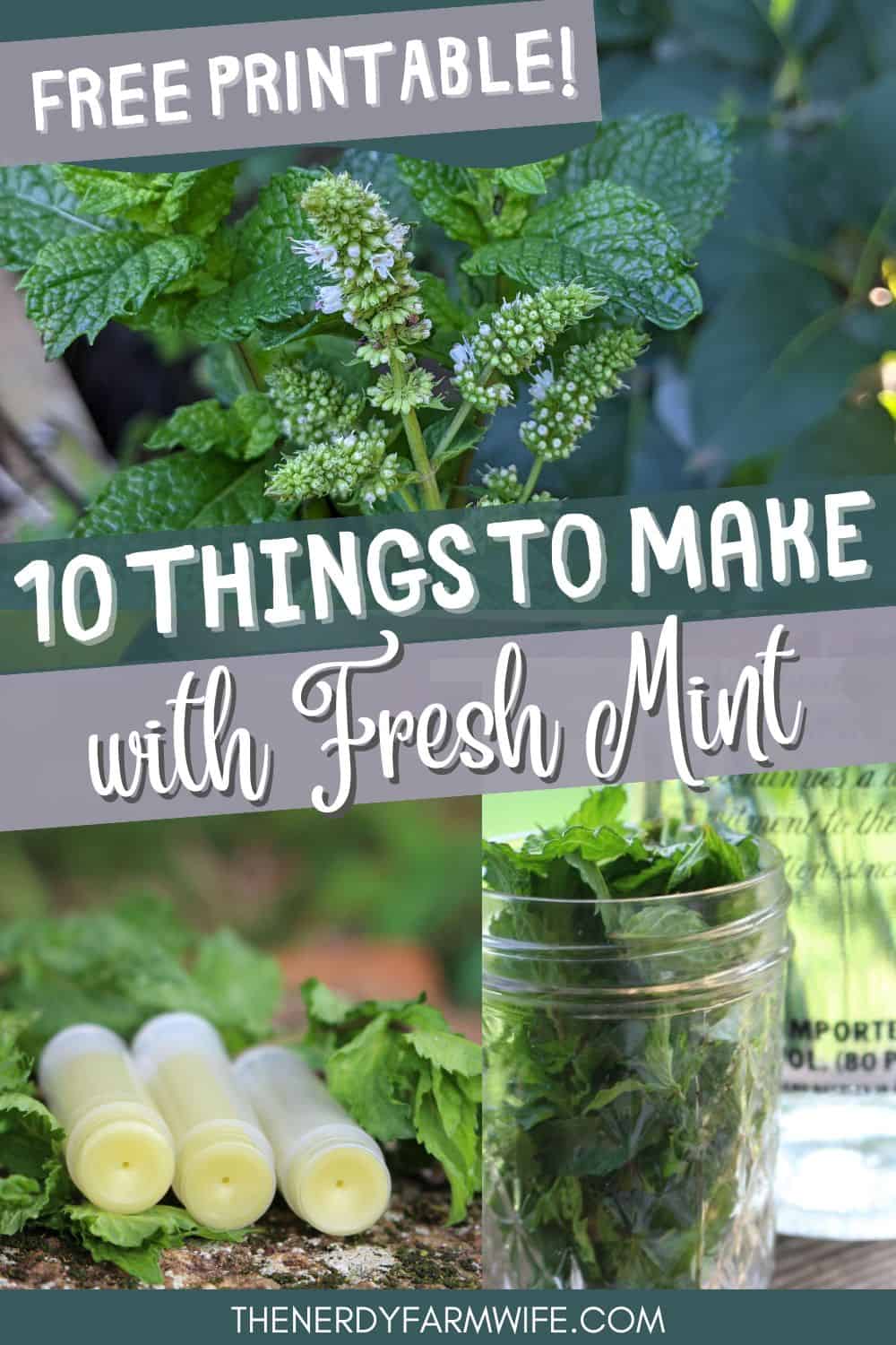 10 Things to Make With Fresh Mint (+printable!)