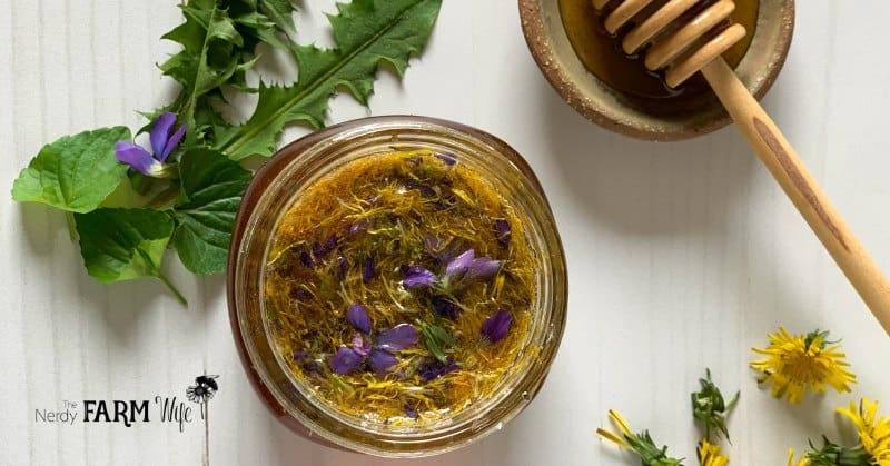 Spring Tonic Honey {with dandelions & violets}