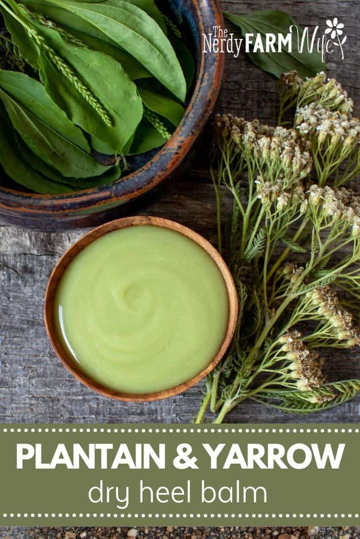 Plantain & Yarrow Dry Heel Balm