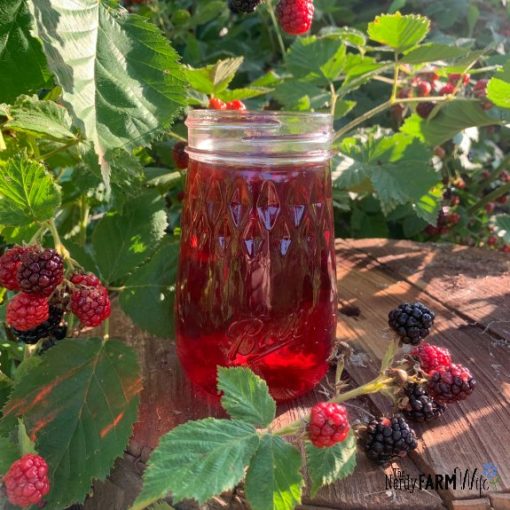 Blackberry Vinegar + 3 Recipes to Use It In