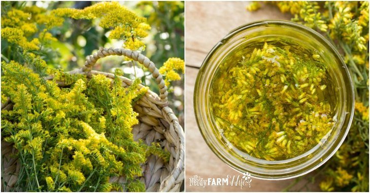 Spring Allergy Tips & Remedies