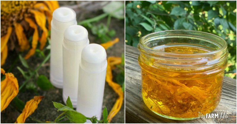 Sunflower Lip Balm (Using Vegan Sunflower Wax)
