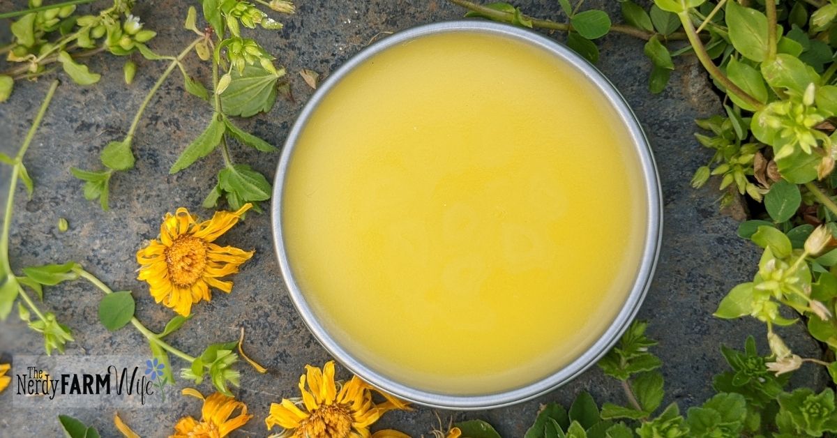 Boo Boo Balm (first aid salve for all ages)