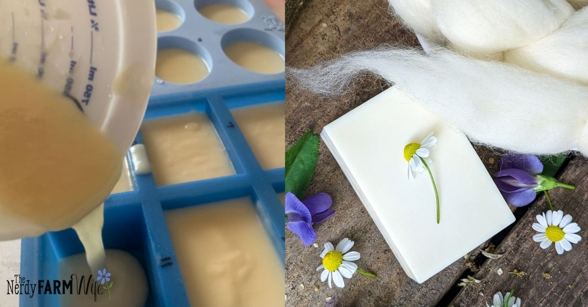 Alternatives to Silk Fiber in Soap {an experiment}