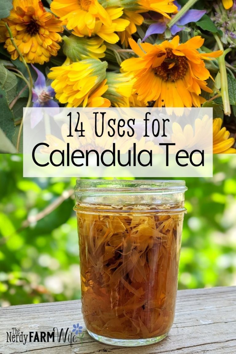 14 Uses For Calendula Tea