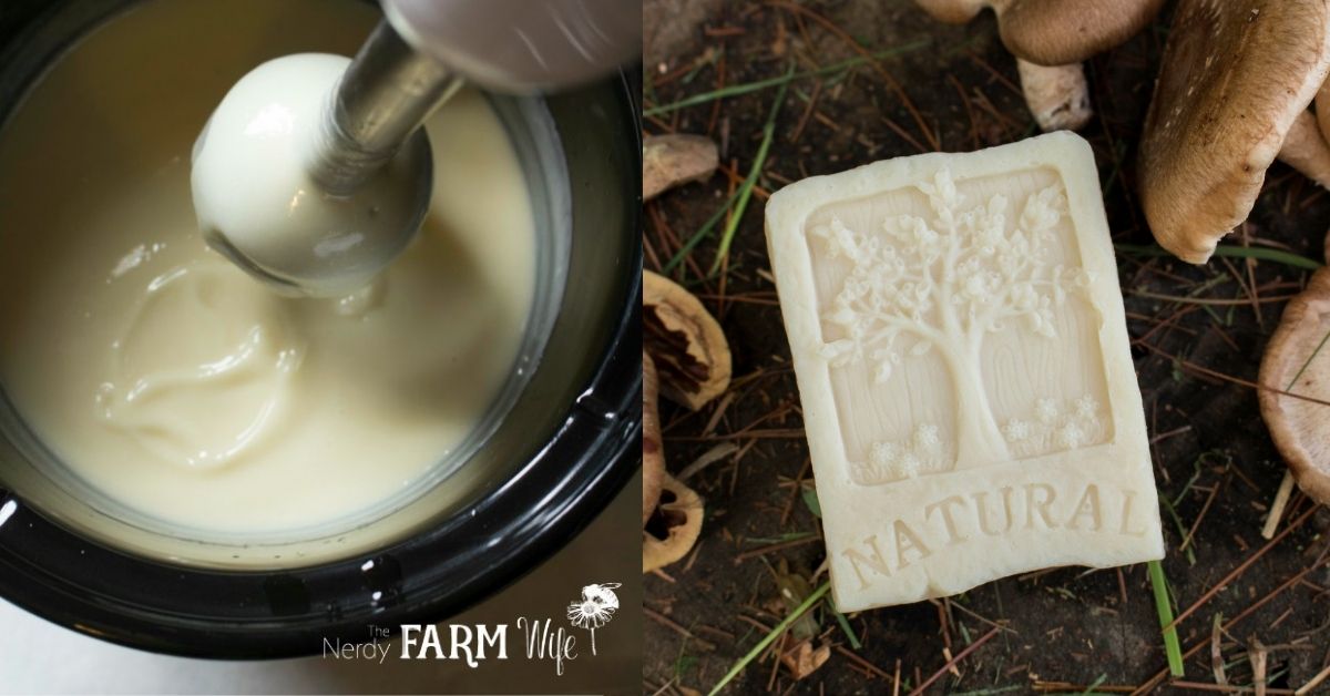 Shiitake Mushroom Face Soap Recipe (Cold Process)