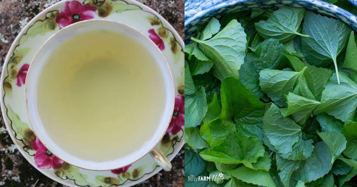 How to Make Herbal Honey Syrups