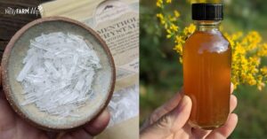 How to Make Homemade Liniments (+printable, formula & recipes!)