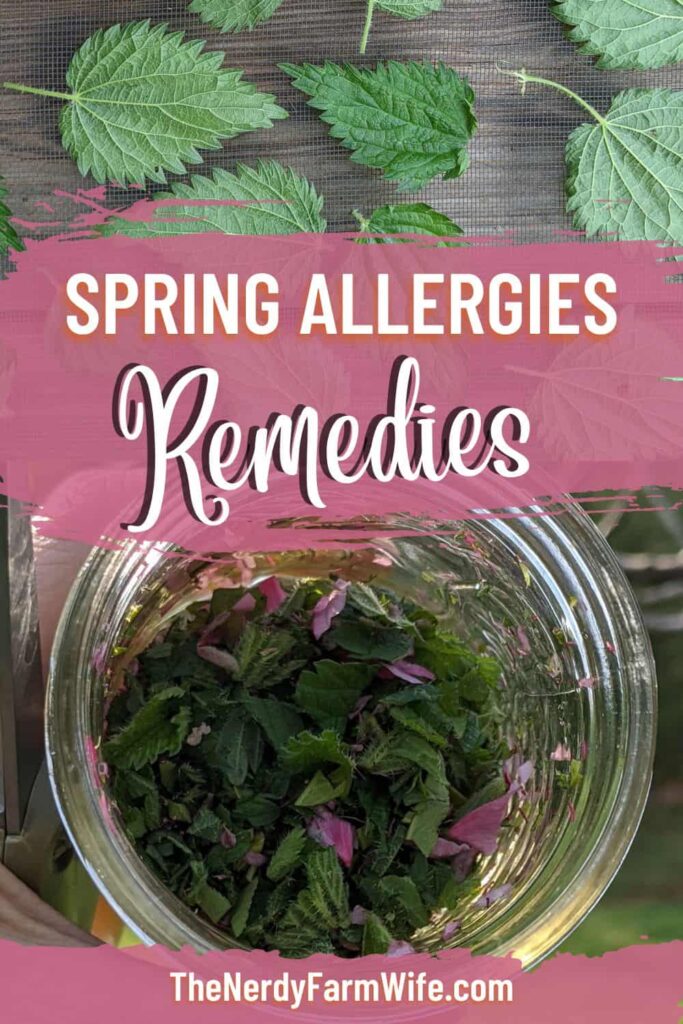 Spring Allergy Tips & Remedies