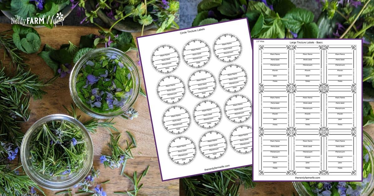 Lavender Tincture + Uses