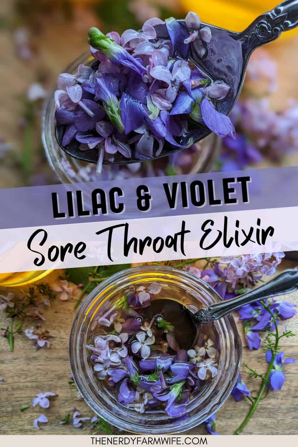 Lilac & Violet Sore Throat Elixir