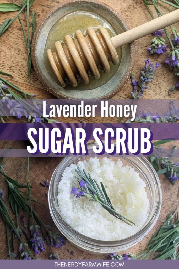 Lavender Honey Sugar Scrub