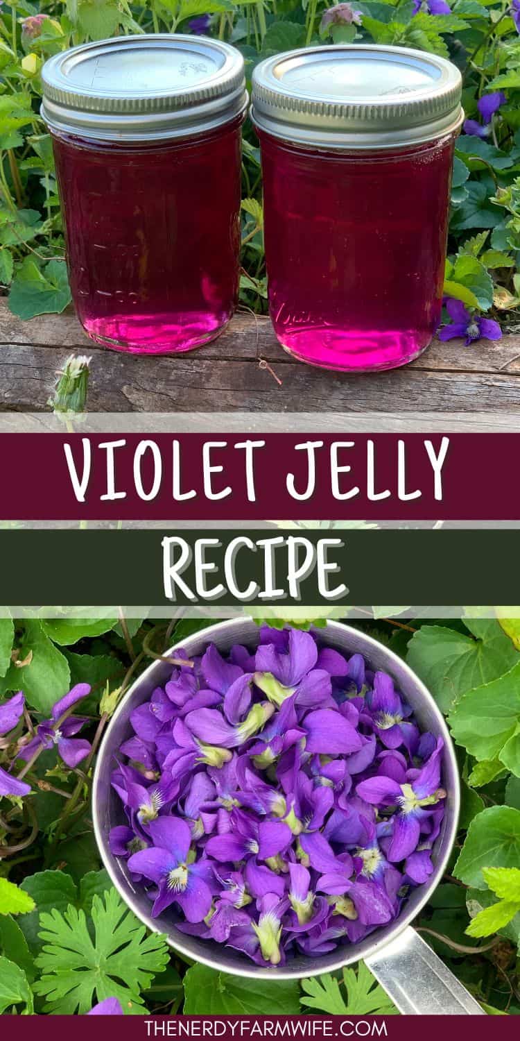 Homemade Violet Jelly
