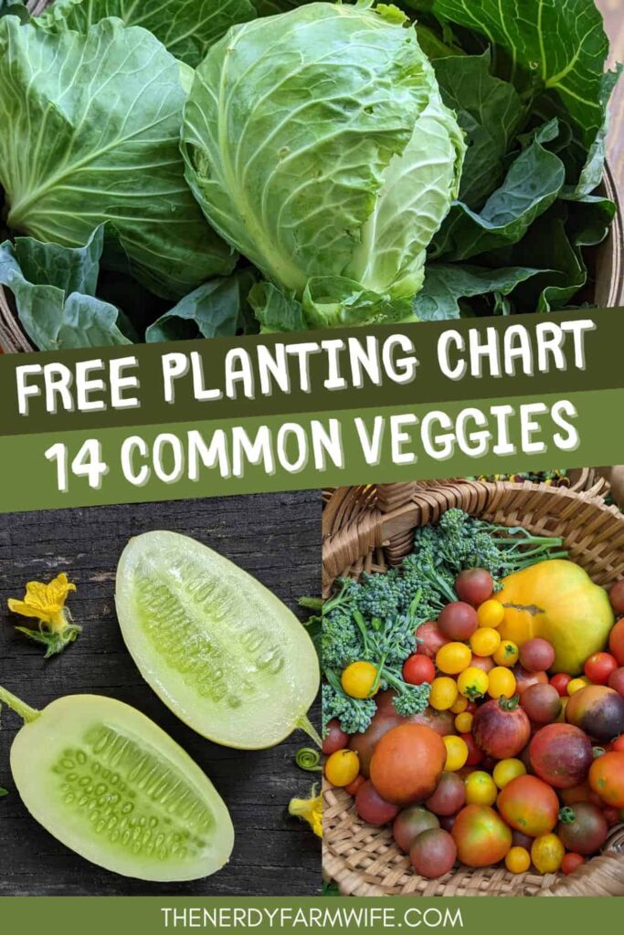 Printable Planting Chart For Vegetables Planting Guides And Charts