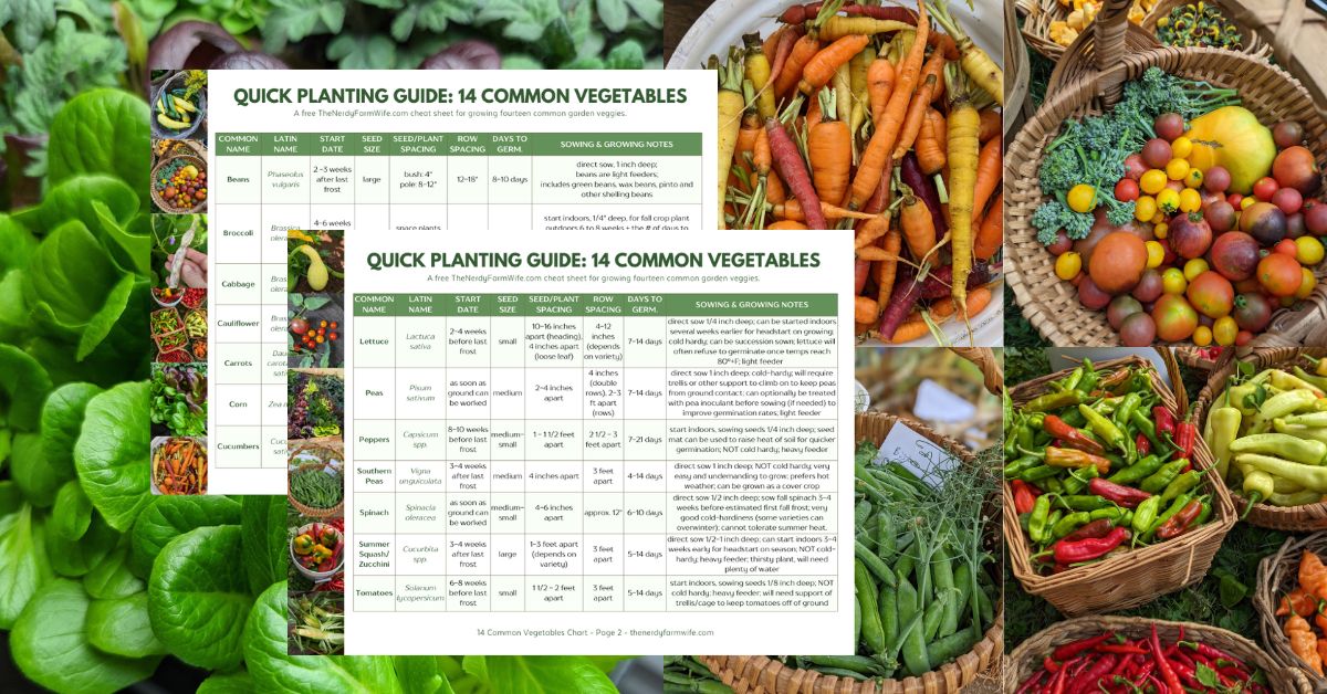Growing 14 Common Garden Vegetables (+Free Printable!)