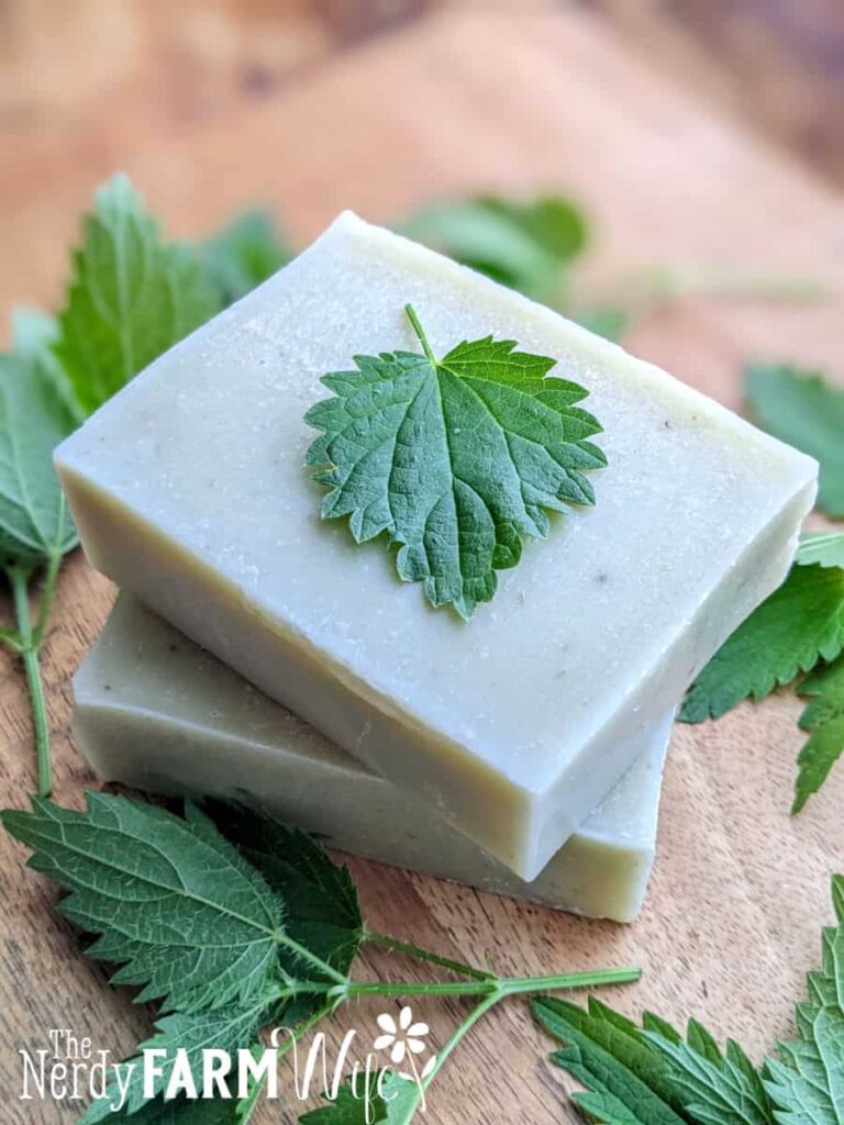 Nettle & Horsetail Shampoo Bars (Cold Process Soap)