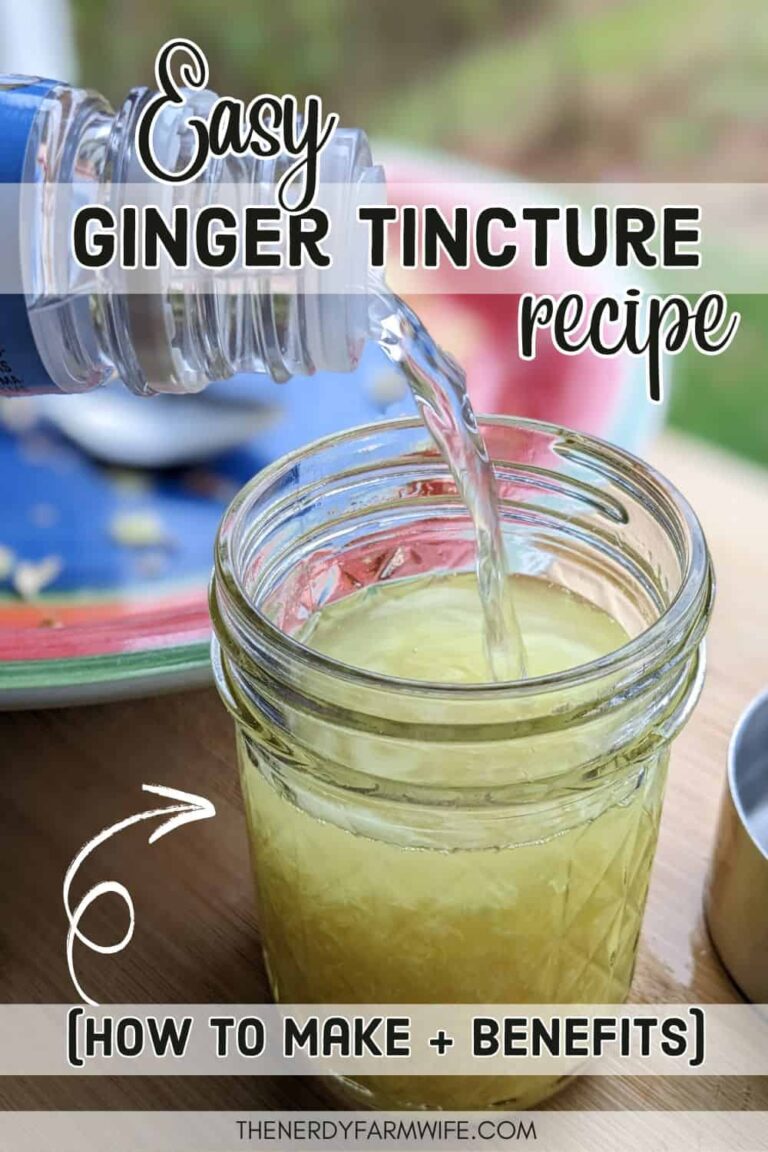 How to Make a Ginger Tincture