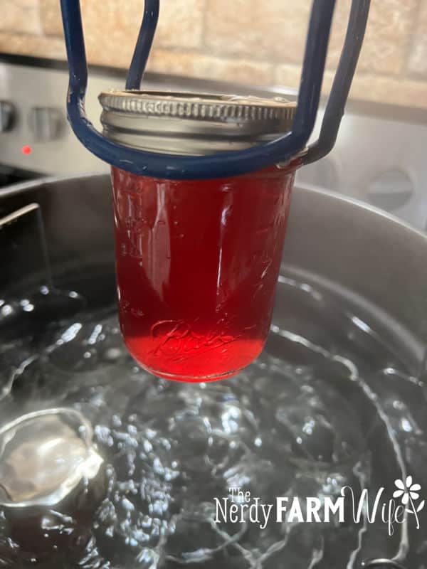 How to Make Redbud Jelly