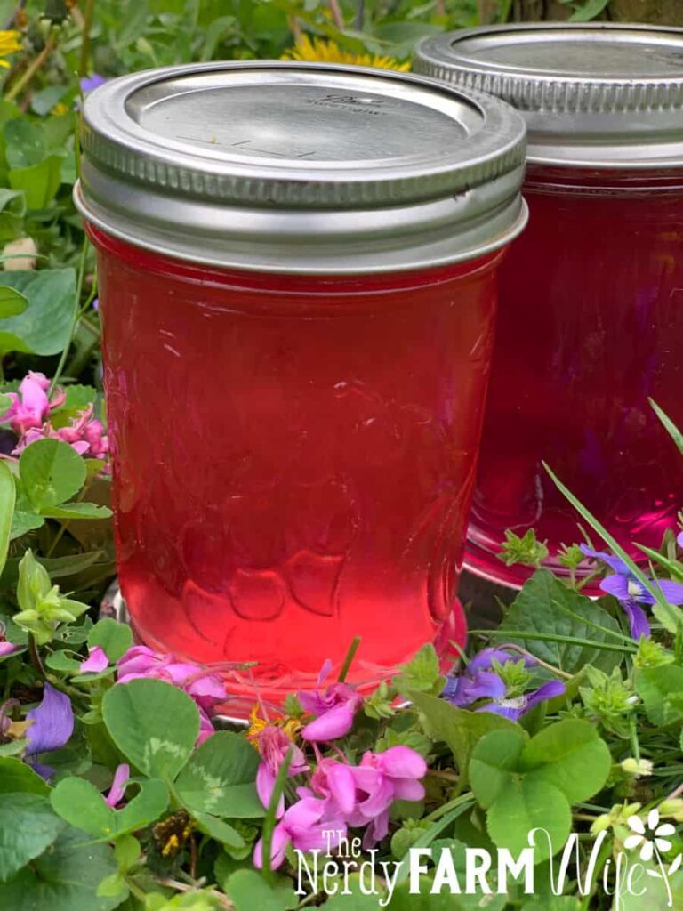 How to Make Redbud Jelly