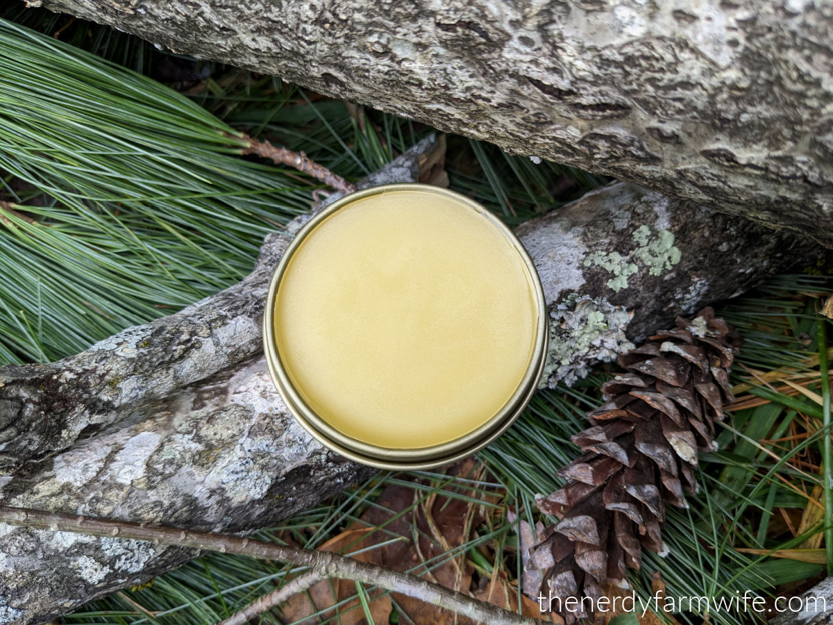 Pine Resin Salve Recipe